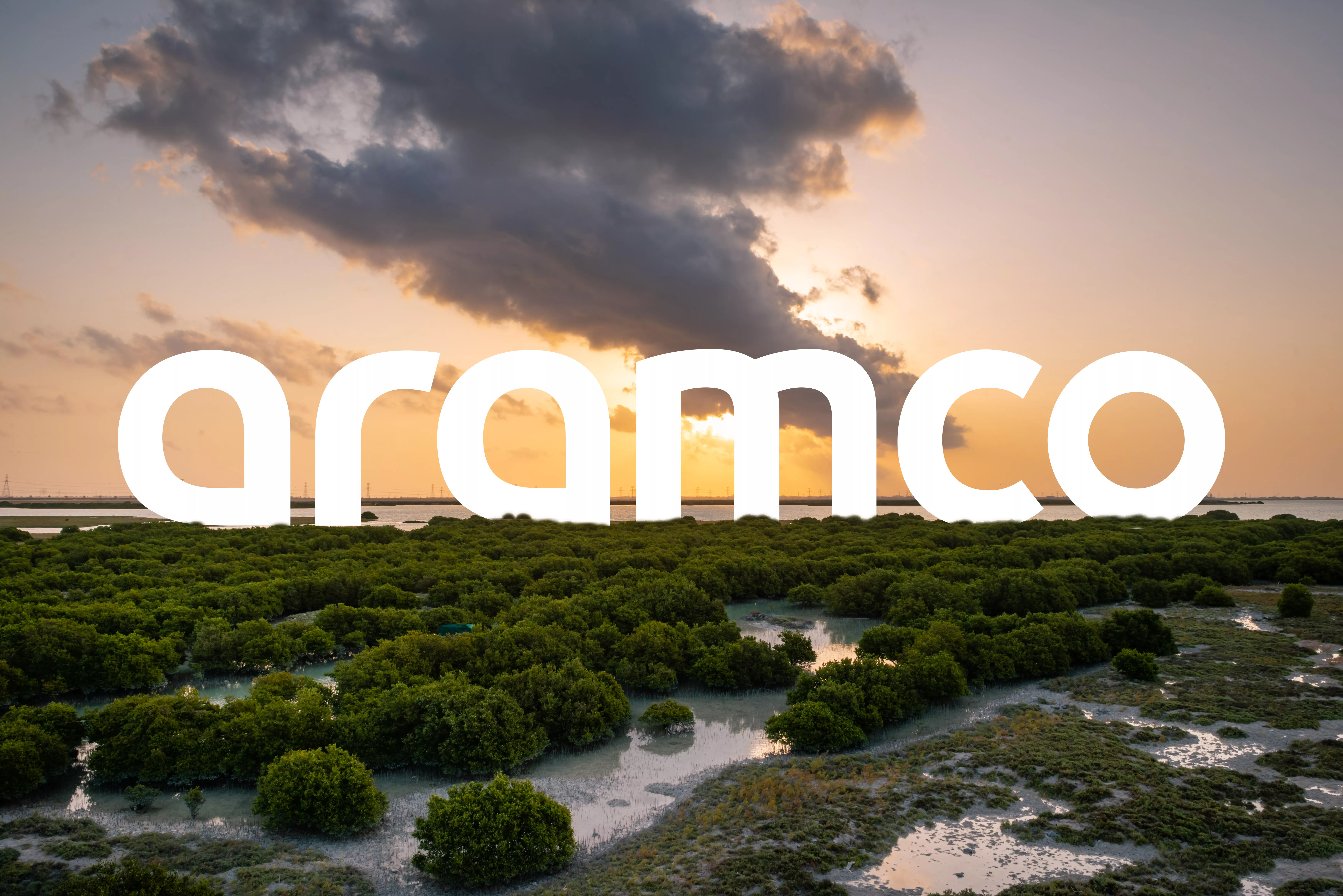 Marine studies to protect our seas | Aramco Europe